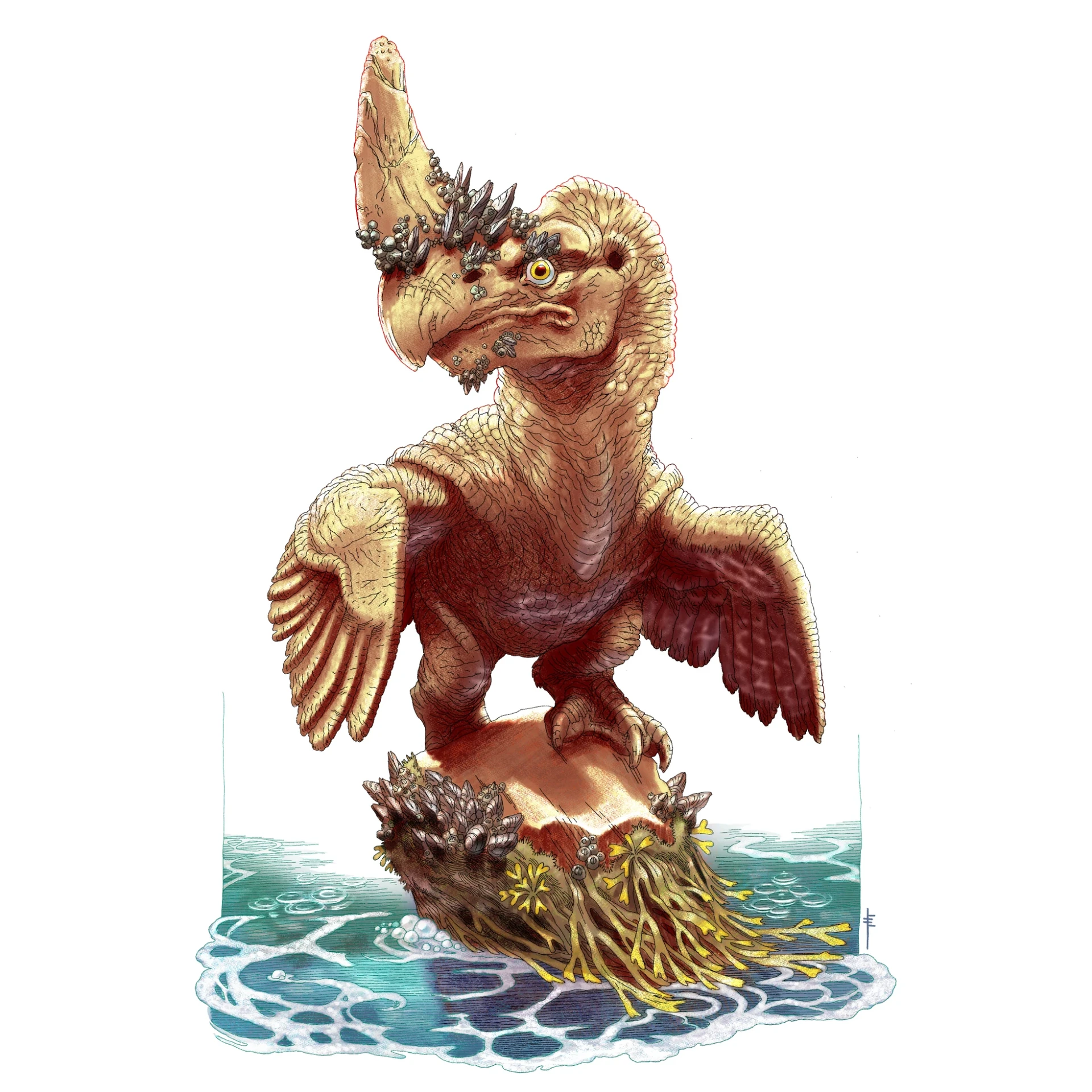 ArtStation - Seagull x Rhino