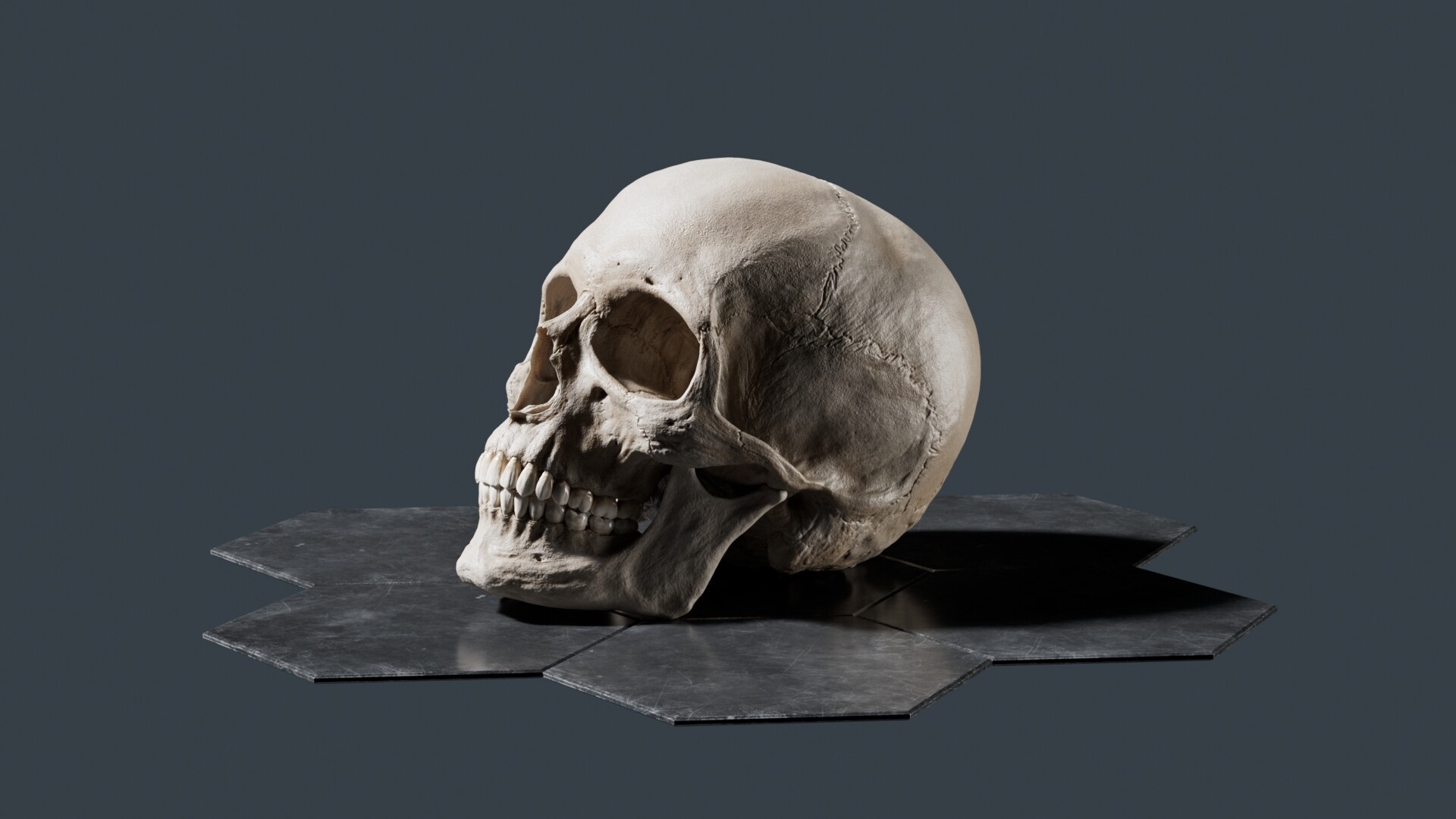 ArtStation - Skull 3d sculpting practice