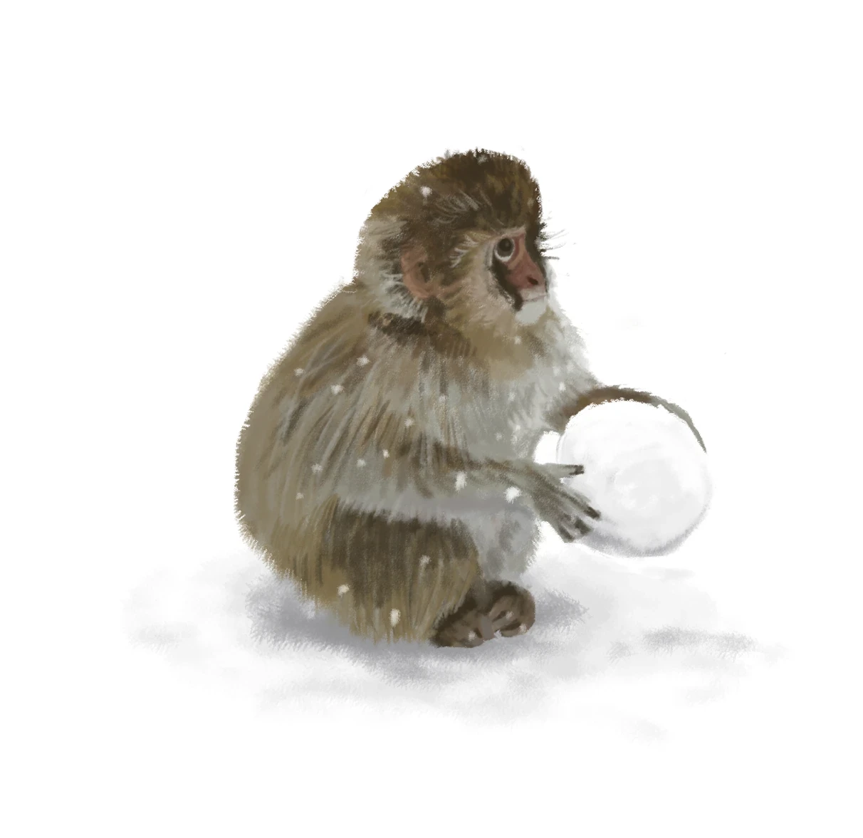 ArtStation - monkey and snowball
