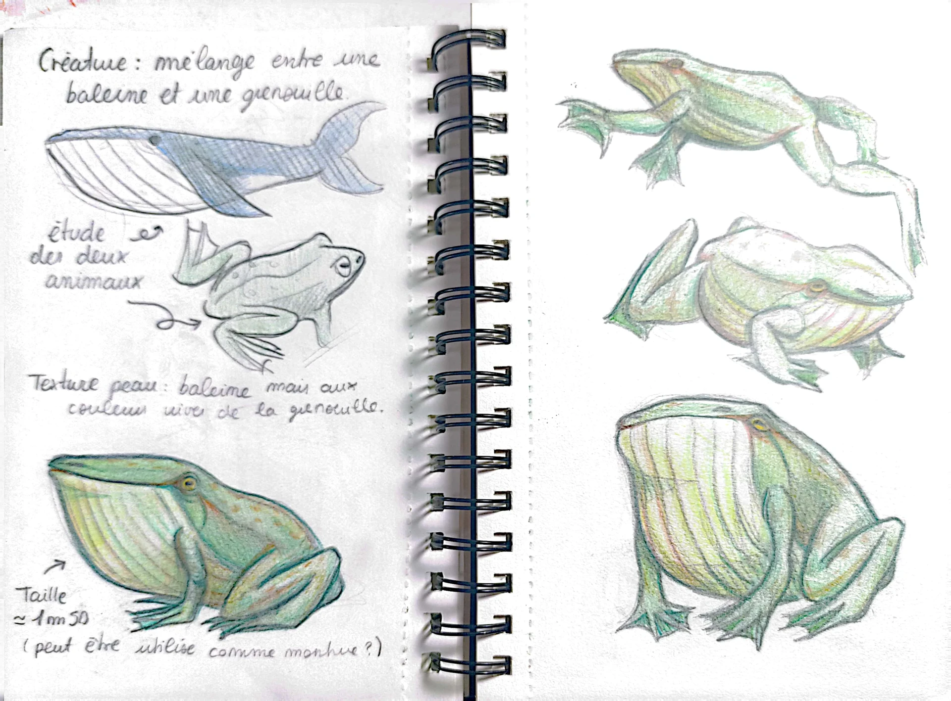 ArtStation - Creature Concept – Frog × Whale Hybrid