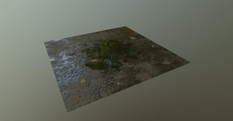 ArtStation - Forest Floor