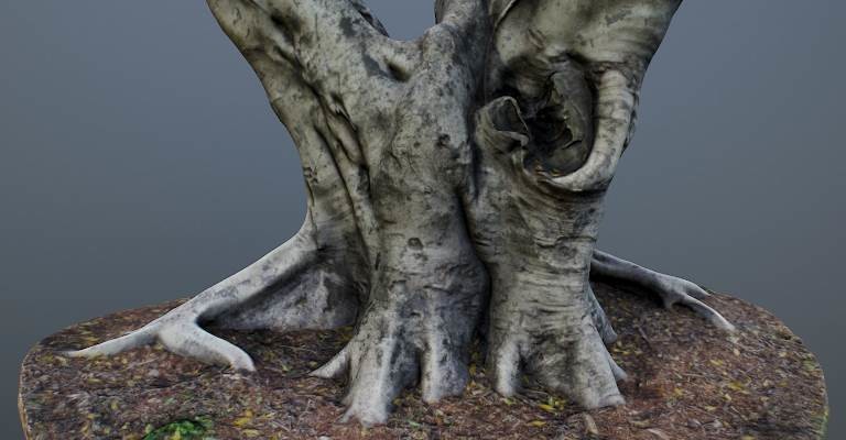 ArtStation - Photogrammetry fig tree.