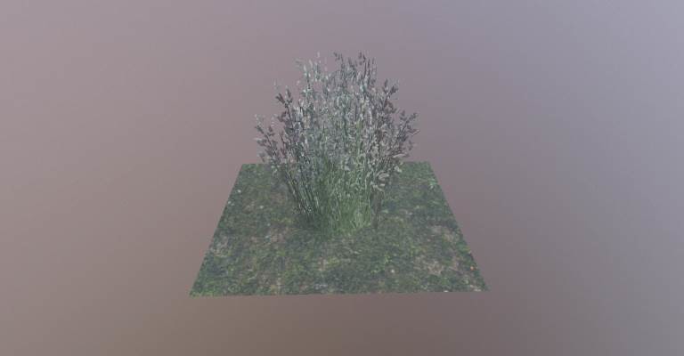 ArtStation - bush 181106