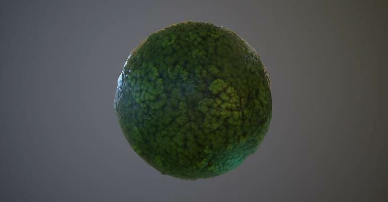 ArtStation - Moss_Study