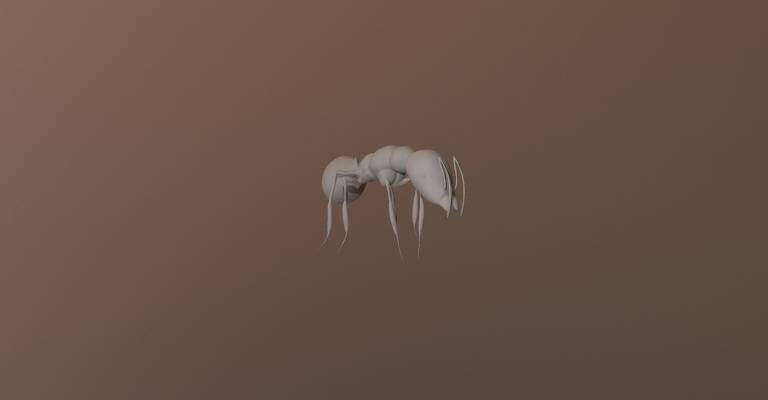 ArtStation - 3D ANT