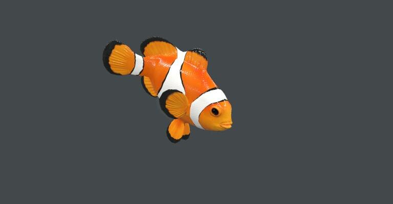 ArtStation - Clownfish