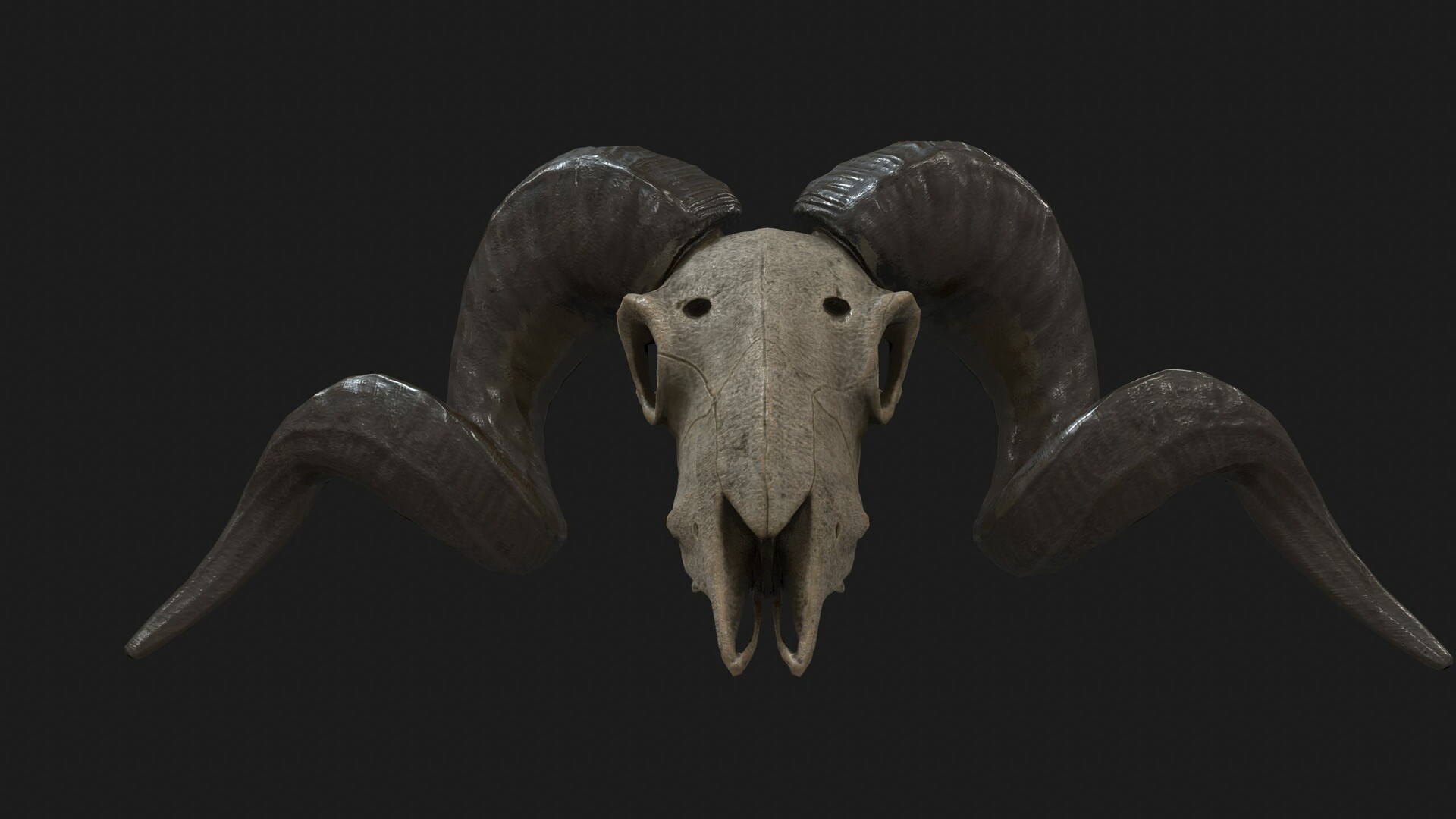 ArtStation - Sheep skull