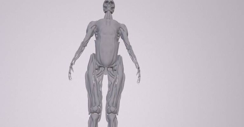 ArtStation - Dvmd Arts