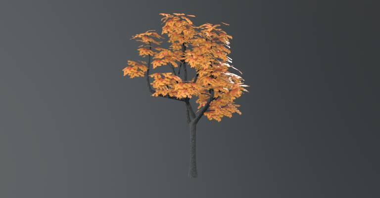 ArtStation - Maple Tree