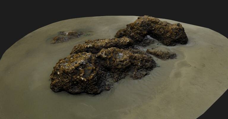 ArtStation - Barnacle rocks 3D Asset