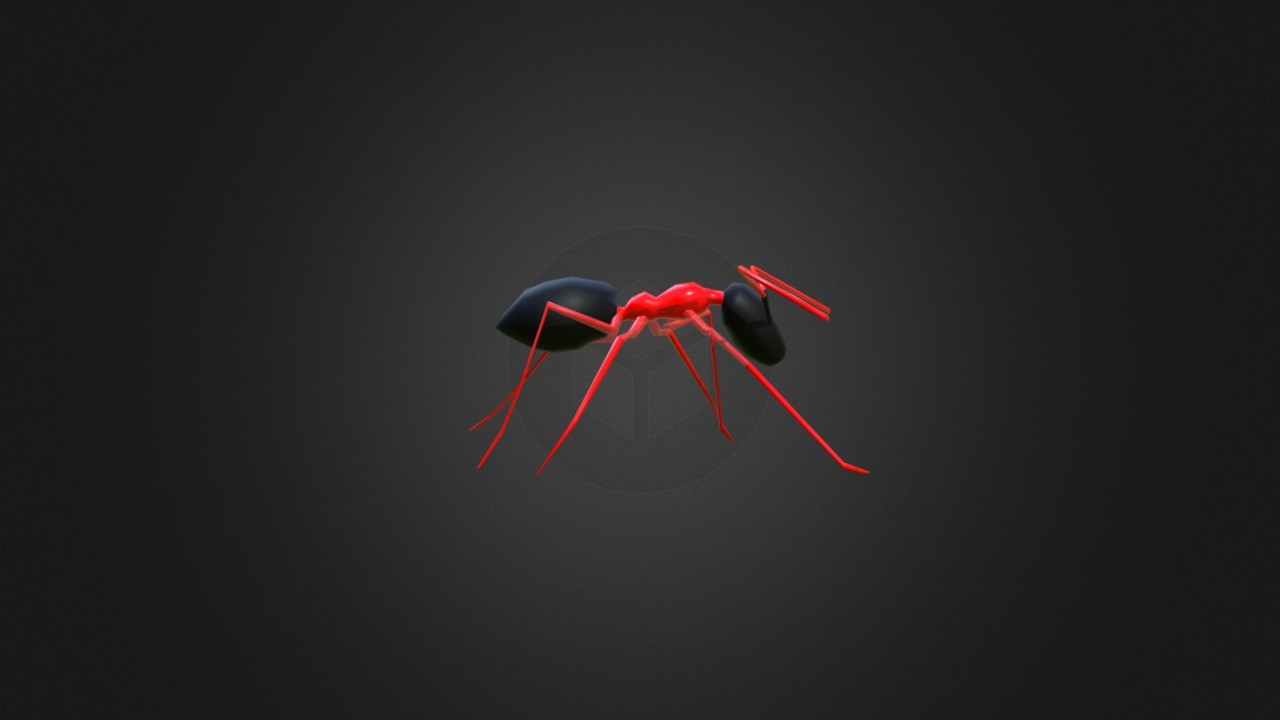 ArtStation - Walking ant animation