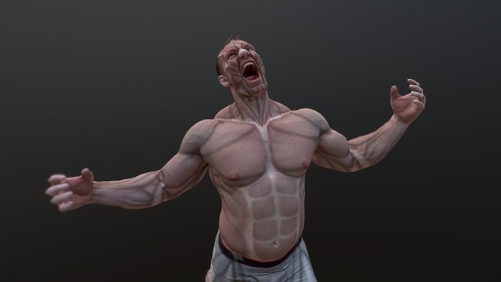 ArtStation - Anatomy Ecorche Practice
