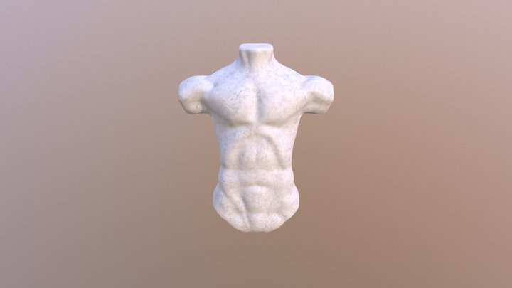 ArtStation - Male Torso