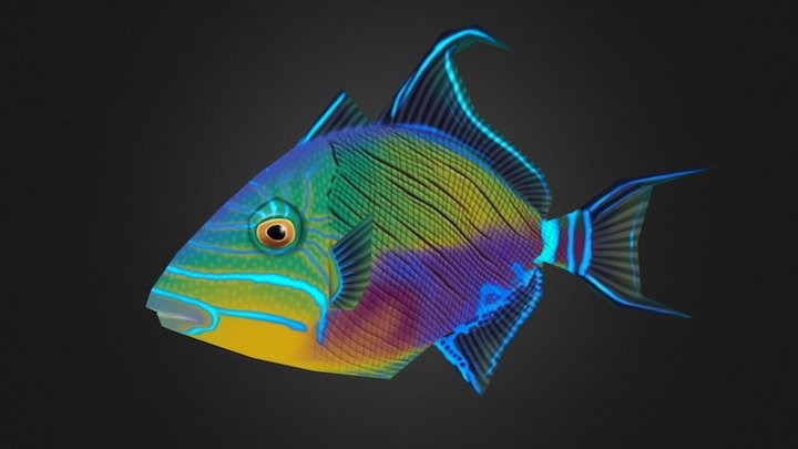 ArtStation - Queen Triggerfish