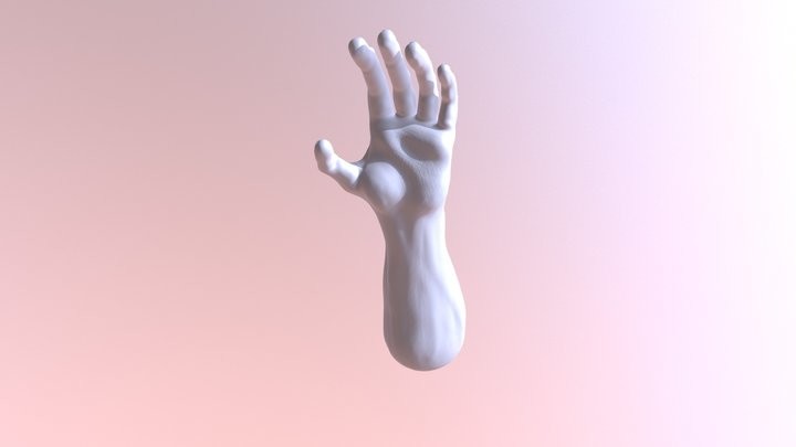 ArtStation - Hand model in Zbrush