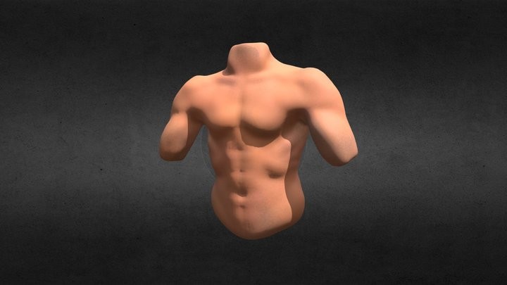ArtStation - Male torso