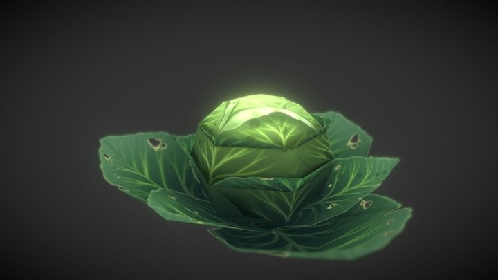 ArtStation - Cabbage