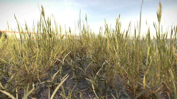 3dhdscan daniel sklář - Simple grass chunks