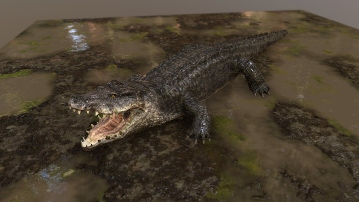 ArtStation - Gator~~