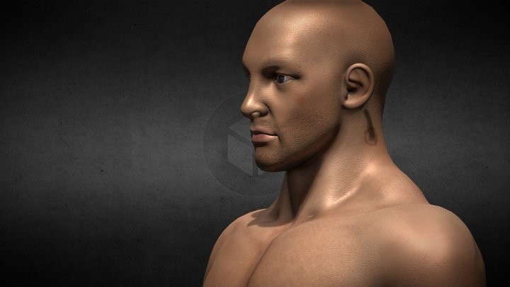 ArtStation - Male_Anatomy Study And Texturing