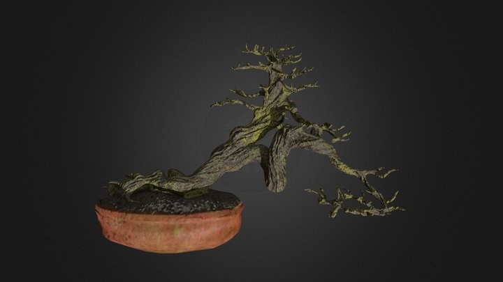 ArtStation - Bonsai Prop