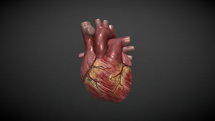 ArtStation - Heart