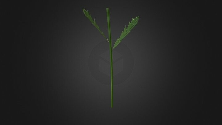 ArtStation - Flower Stem