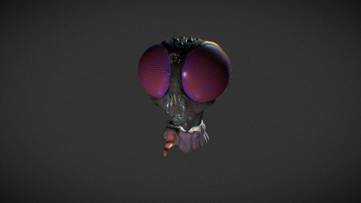 ArtStation - Fly Man