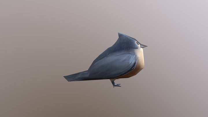 ArtStation - Low Poly Bird