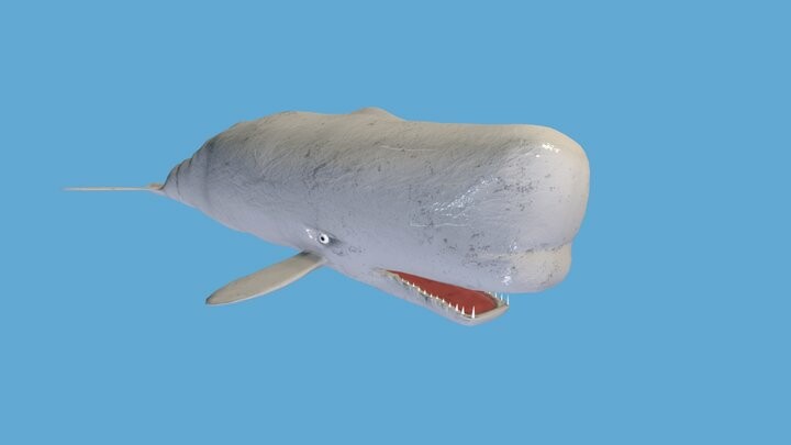 ArtStation - Moby Dick