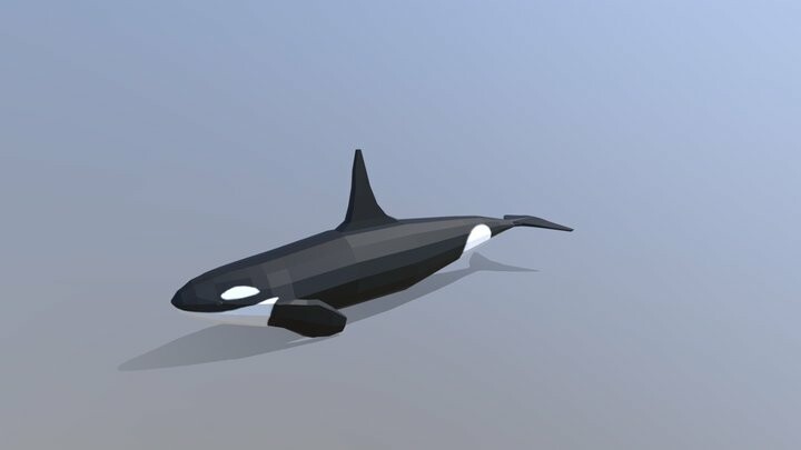 ArtStation - Low Poly Cartoon Orca Killer Whale