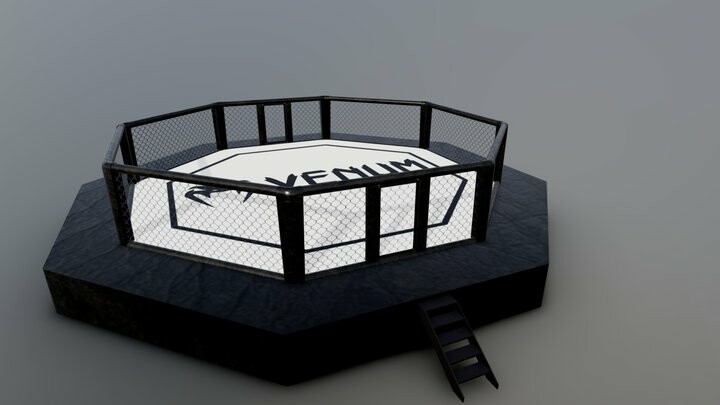 ArtStation - UFC Cage