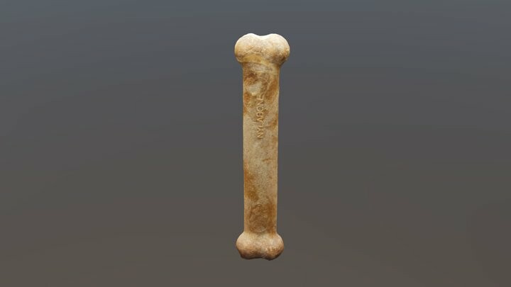 ArtStation - Prehistoric Bone (Photogrammetry)