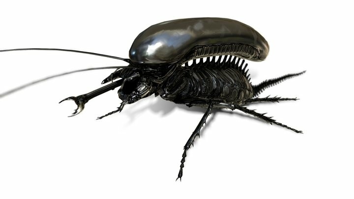 ArtStation - Alien roach