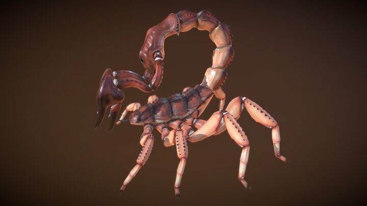ArtStation - Scorpion mutant