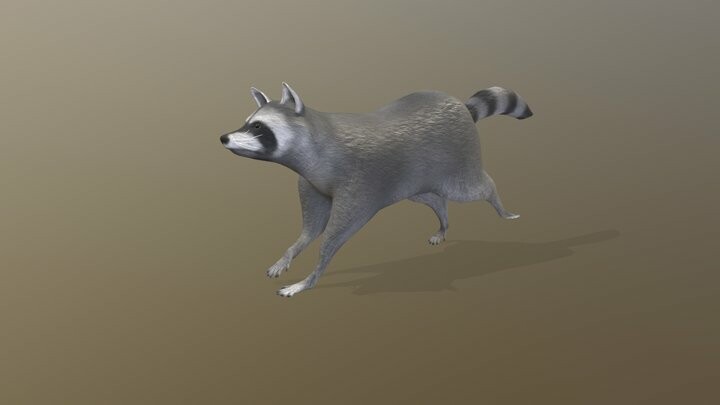ArtStation - Running Raccoon