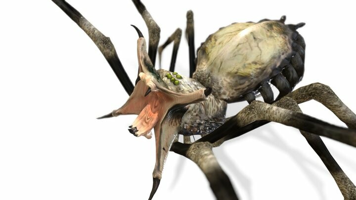 ArtStation - Predator Spider