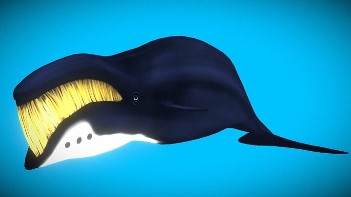 ArtStation - Hand painted Bowhead whale