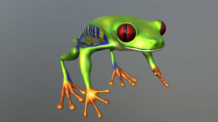 ArtStation - Tree Frog