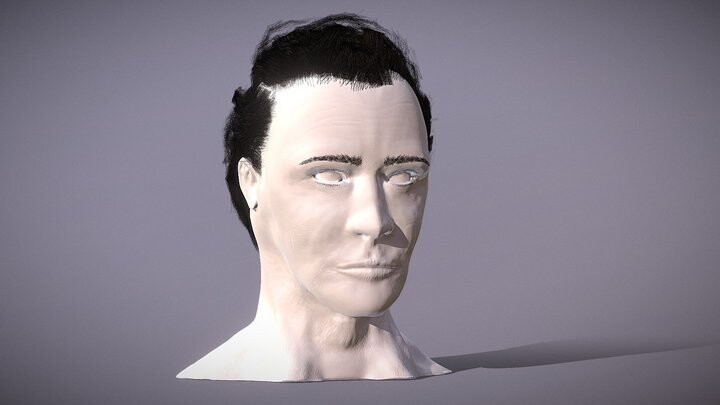 Dominik Tran - PolyHair