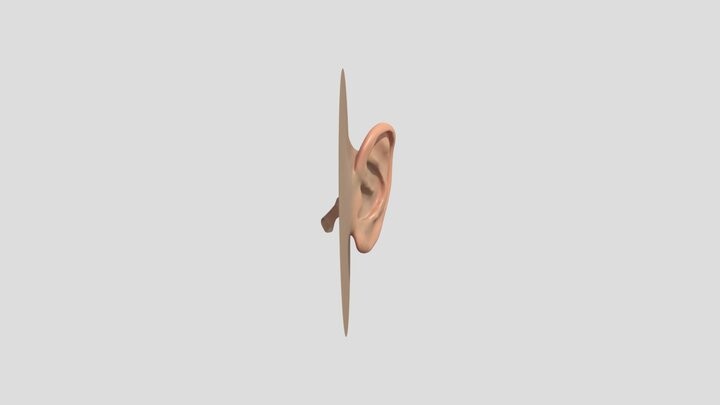 ArtStation - Human Ear