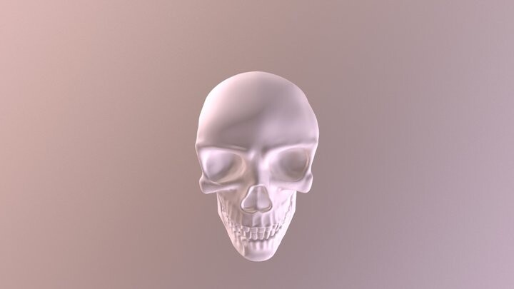 ArtStation - 3D Skull