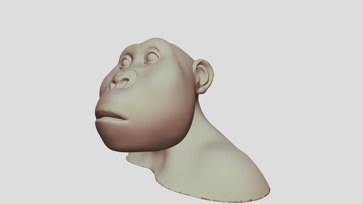 ArtStation - Paranthropus Boisei