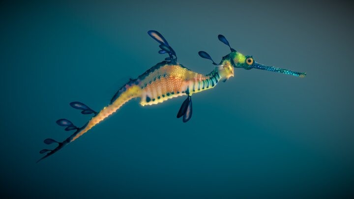 ArtStation - Weedy Seadragon
