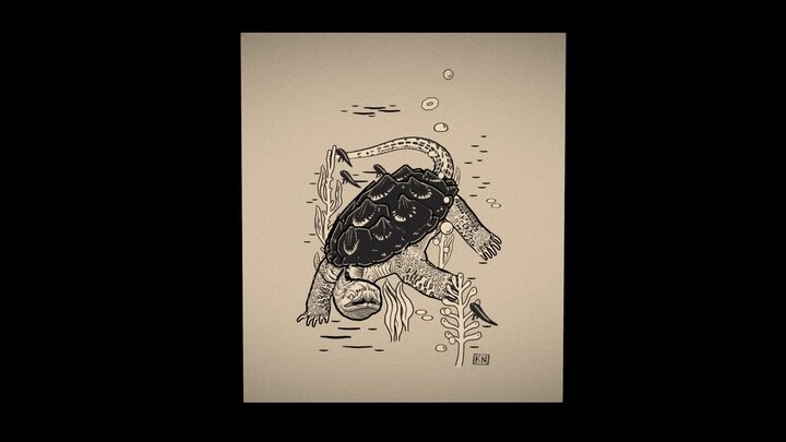 ArtStation - Snapping Turtle