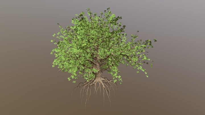 ArtStation - Oak with leaves