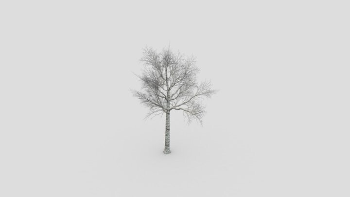 ArtStation - White Birch Tree-ST-34
