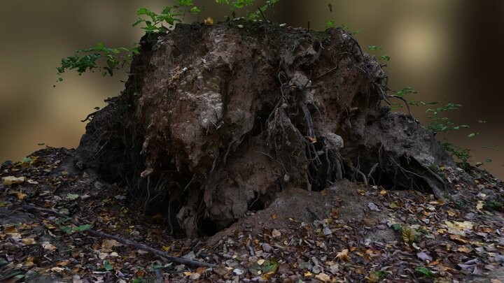 ArtStation - Roots of the fallen tree
