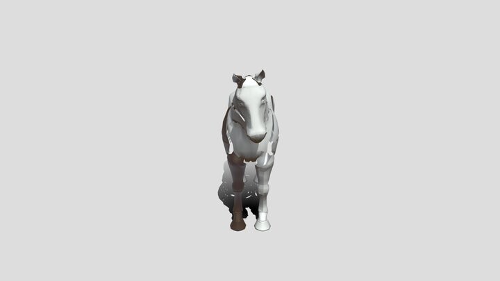 ArtStation - Horse Animation
