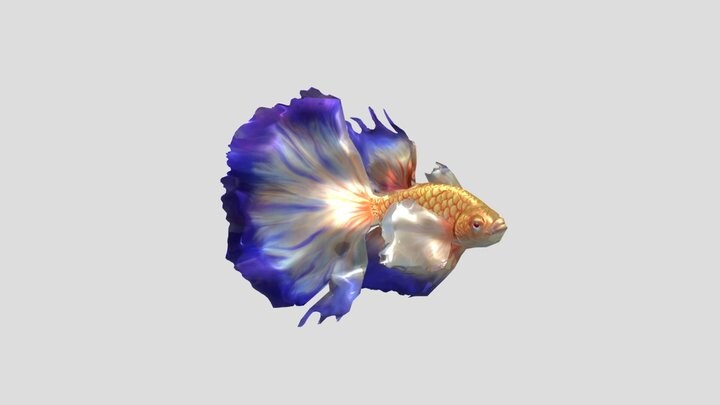 ArtStation - Betta fish